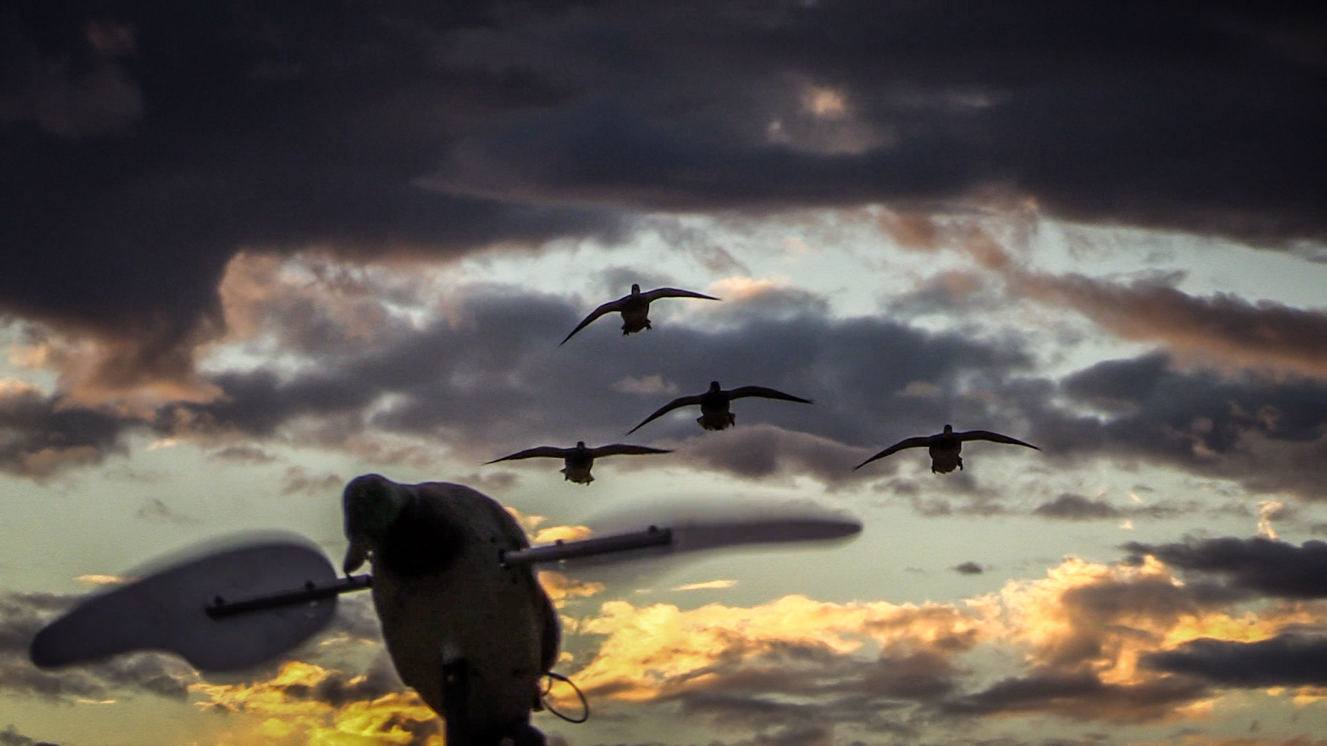 Duckr - Duck Hunting App for Weather, Maps & Tracking